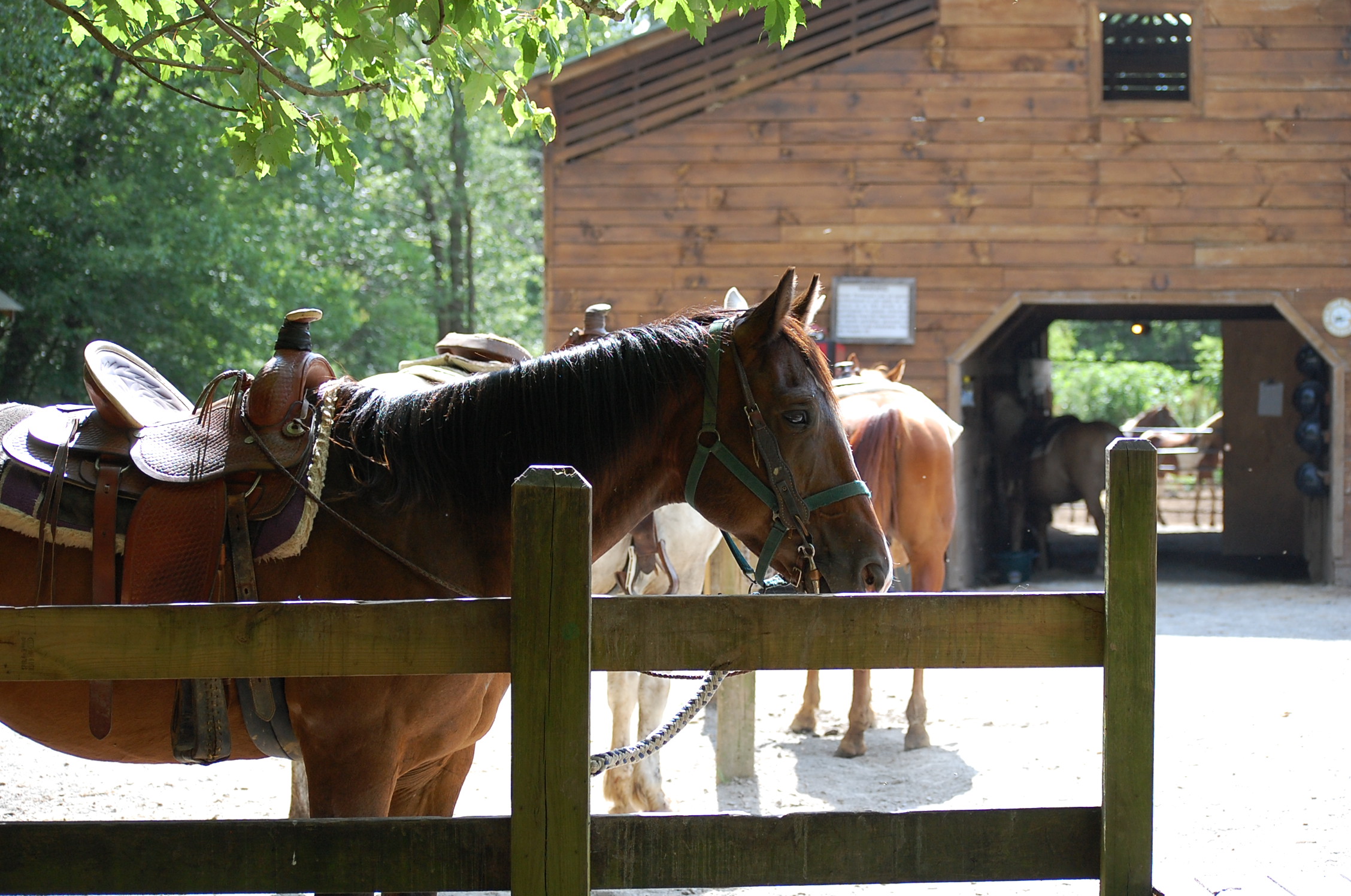 Group Adventures In The Smoky Mountains - Whitewater Express